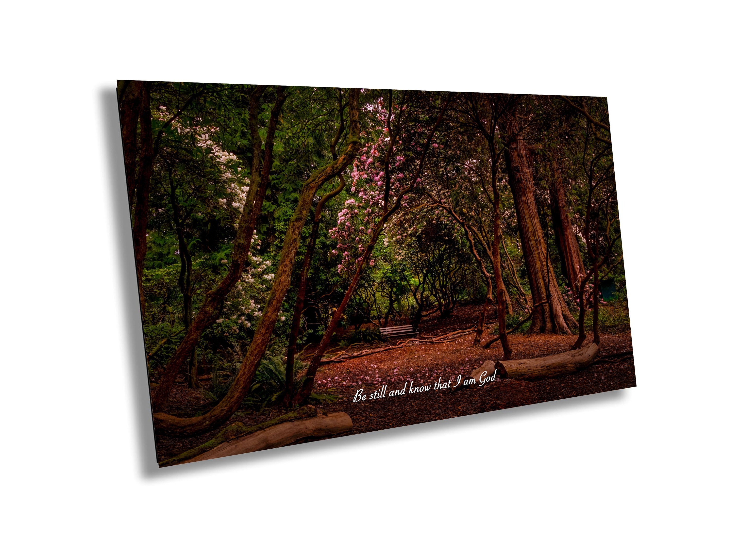 Christian Inspirational Wall Art | Psalm 46:10 Scripture Wall | Seattle ...