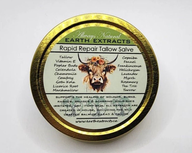 Rapid Repair Tallow Salve - Etsy