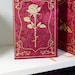 ACOTAR Book One: A Court of Thorns and Roses Special Edition Rebound ...