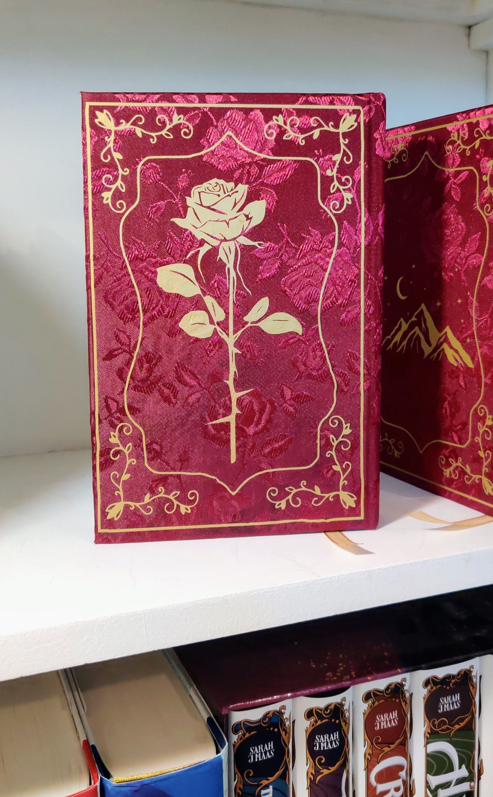 ACOTAR Book One: A Court of Thorns and Roses Special Edition Rebound ...