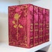 ACOTAR Book One: A Court of Thorns and Roses Special Edition Rebound ...