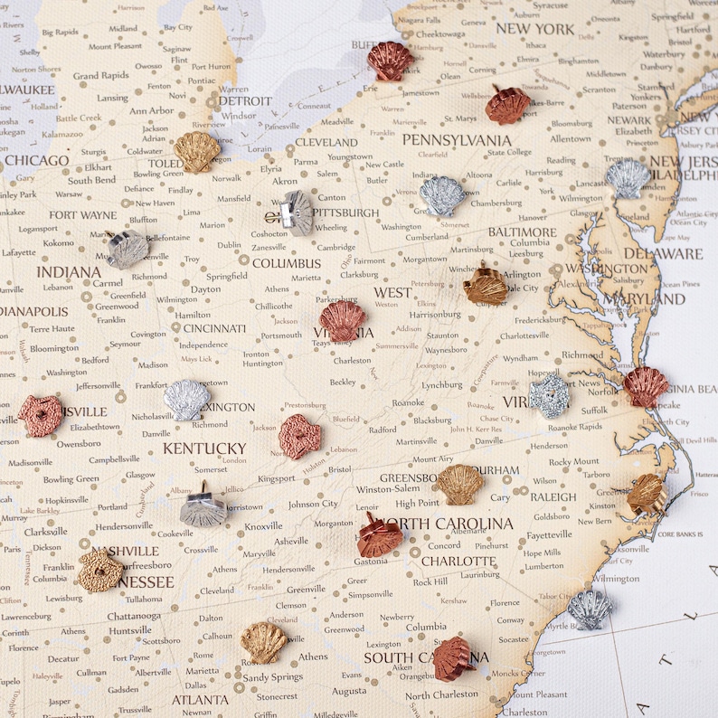 Map Push Pins – 3D Scallop Shell Icon Markers (set of 5+, One Design ...