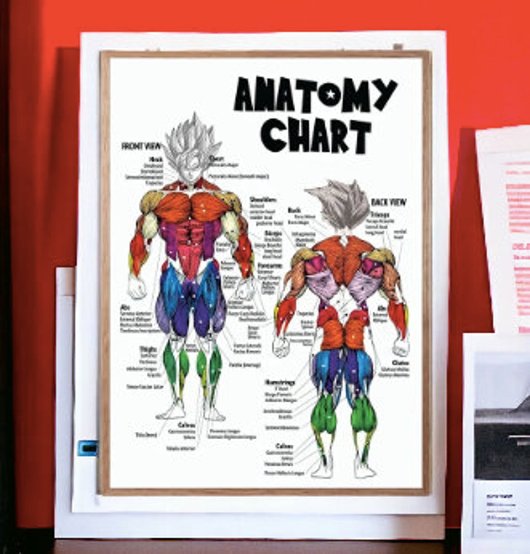 Anime Muscle Anatomy Chart Canvas Poster Print Inspirational Wall Decor ...
