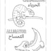 Bilingual English & Arabic Colouring Book for Kids- Wild Animals - Etsy