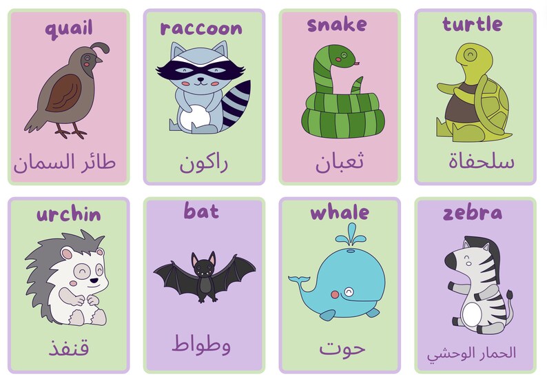 Bilingual Arabic & English Printable Flashcards - Animal Edition - Etsy