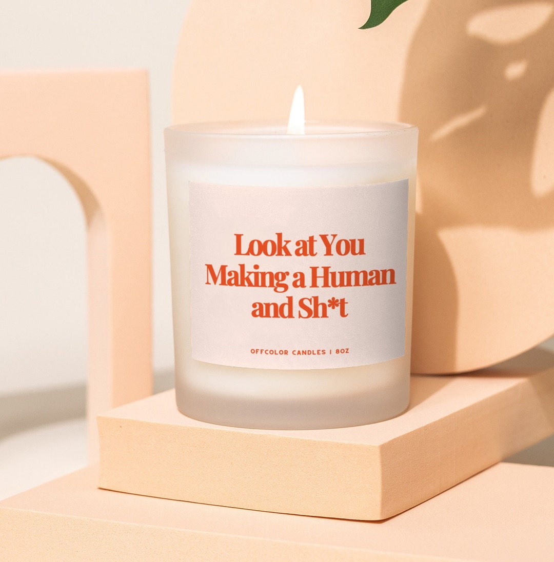 Look at You Making a Human Funny Candle Gift for Her, Pregnant Mother's ...