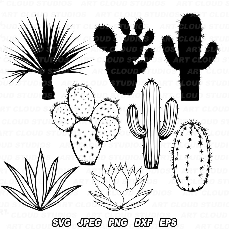 Cactus SVG, Cacti Png, Succulent Cut Files, Silhouette Digital Download ...