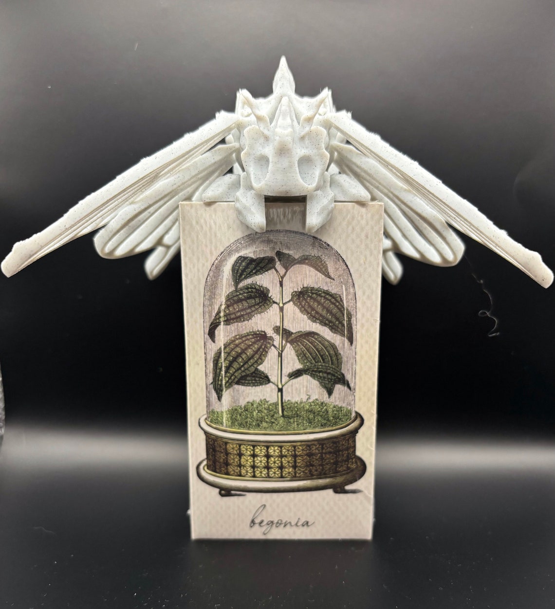 Articulated Bone Moth - Etsy