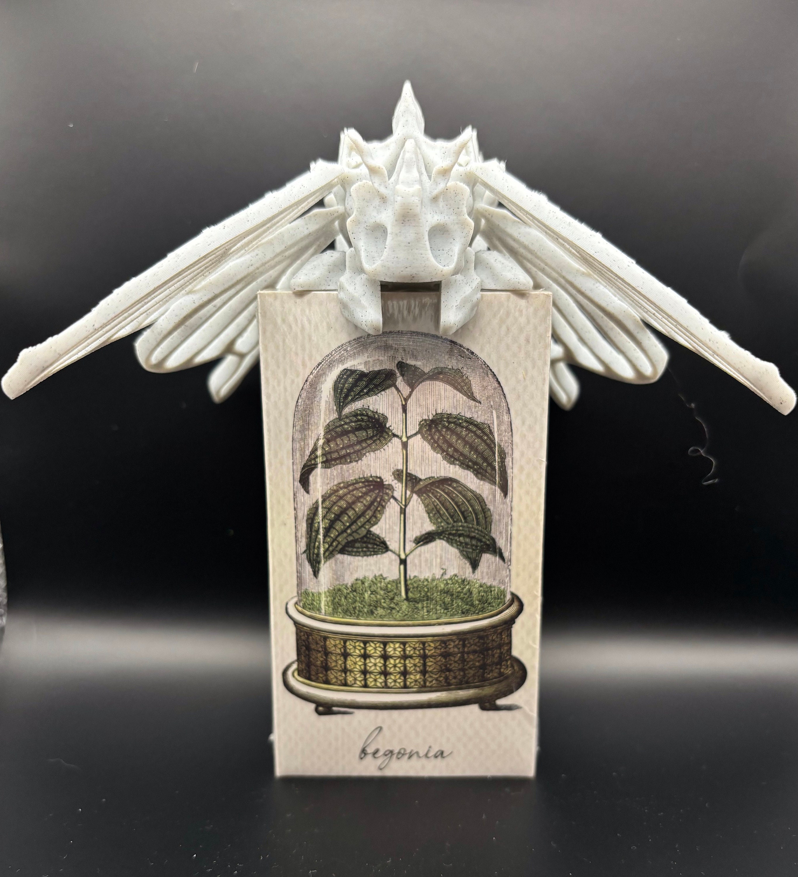 Articulated Bone Moth - Etsy