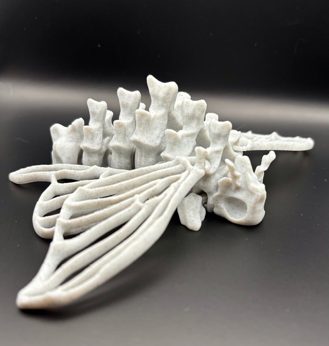 Articulated Bone Moth - Etsy