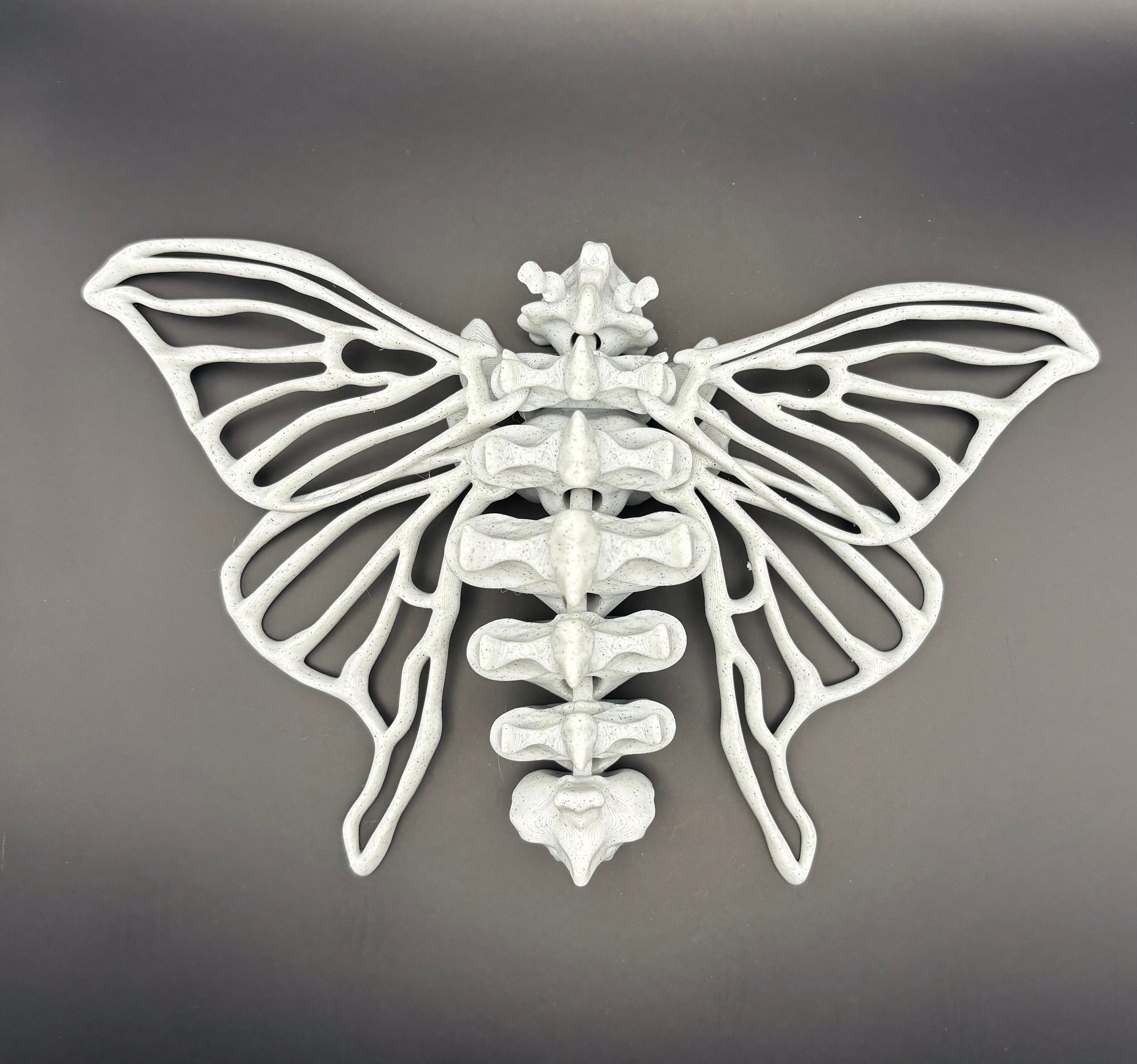 Articulated Bone Moth - Etsy