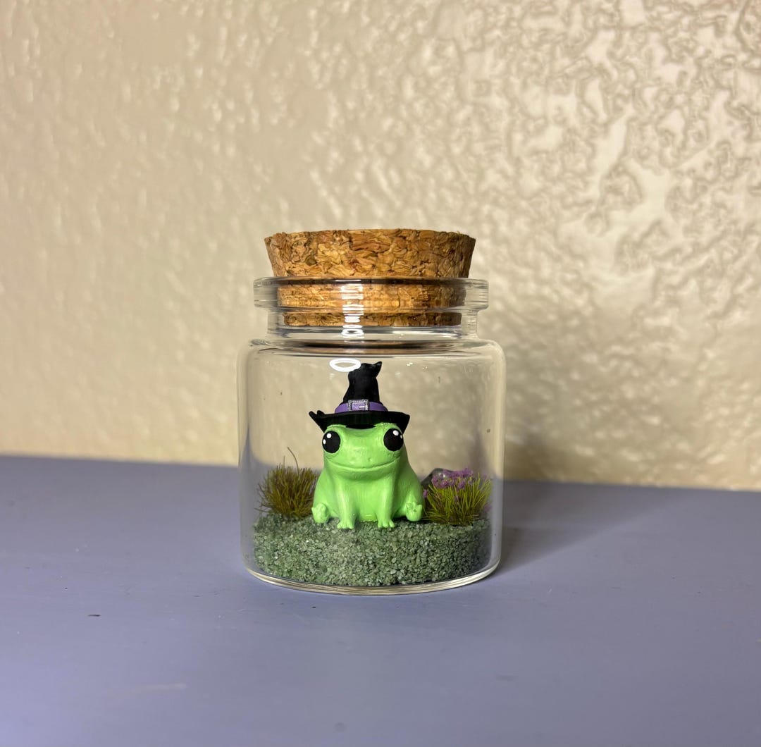 Mini Terrarium Witch Frog Familiar - Etsy