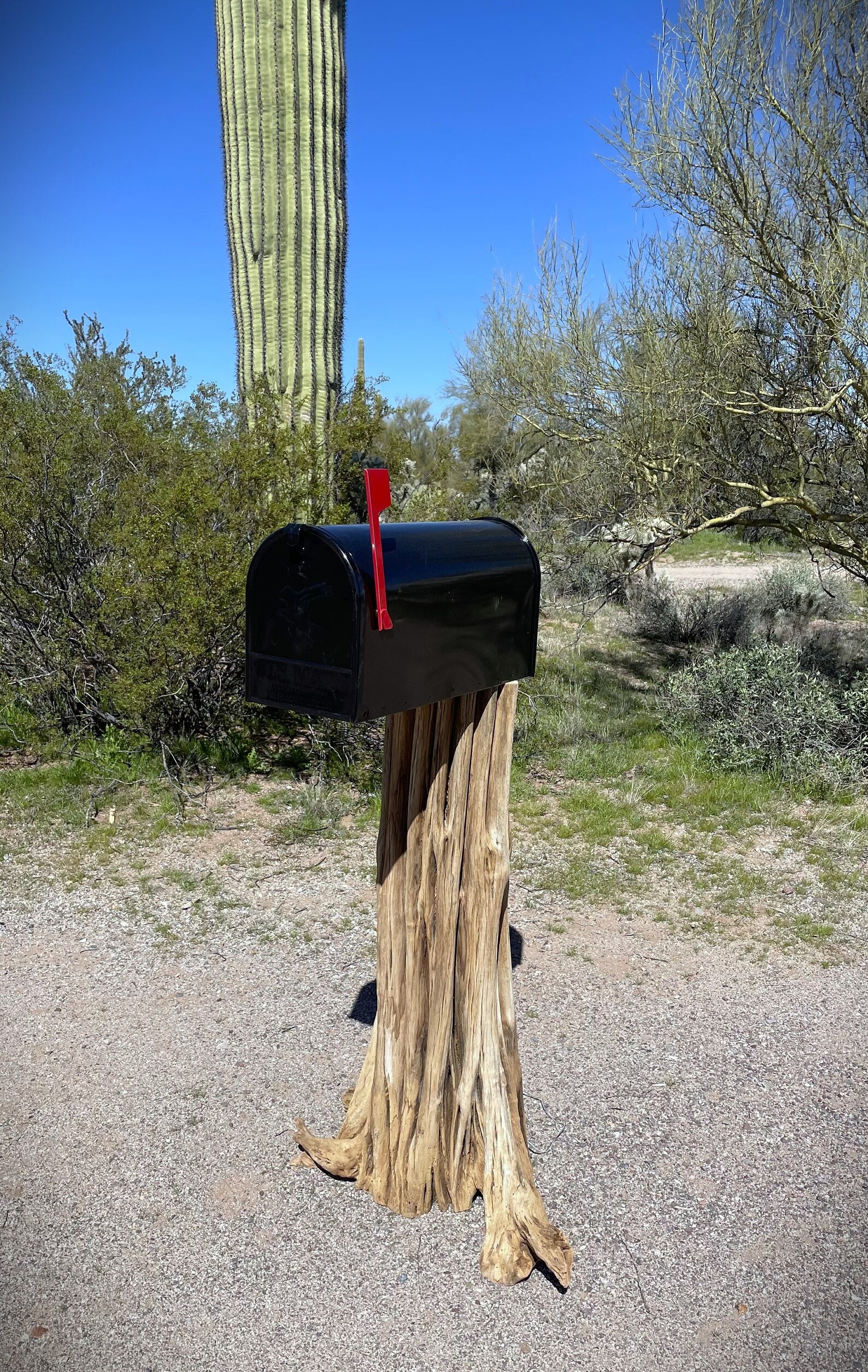 Sahuaro Mailbox With Lights - Etsy