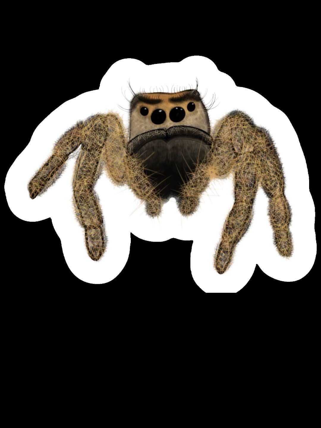 Jumping Spider Png - Etsy