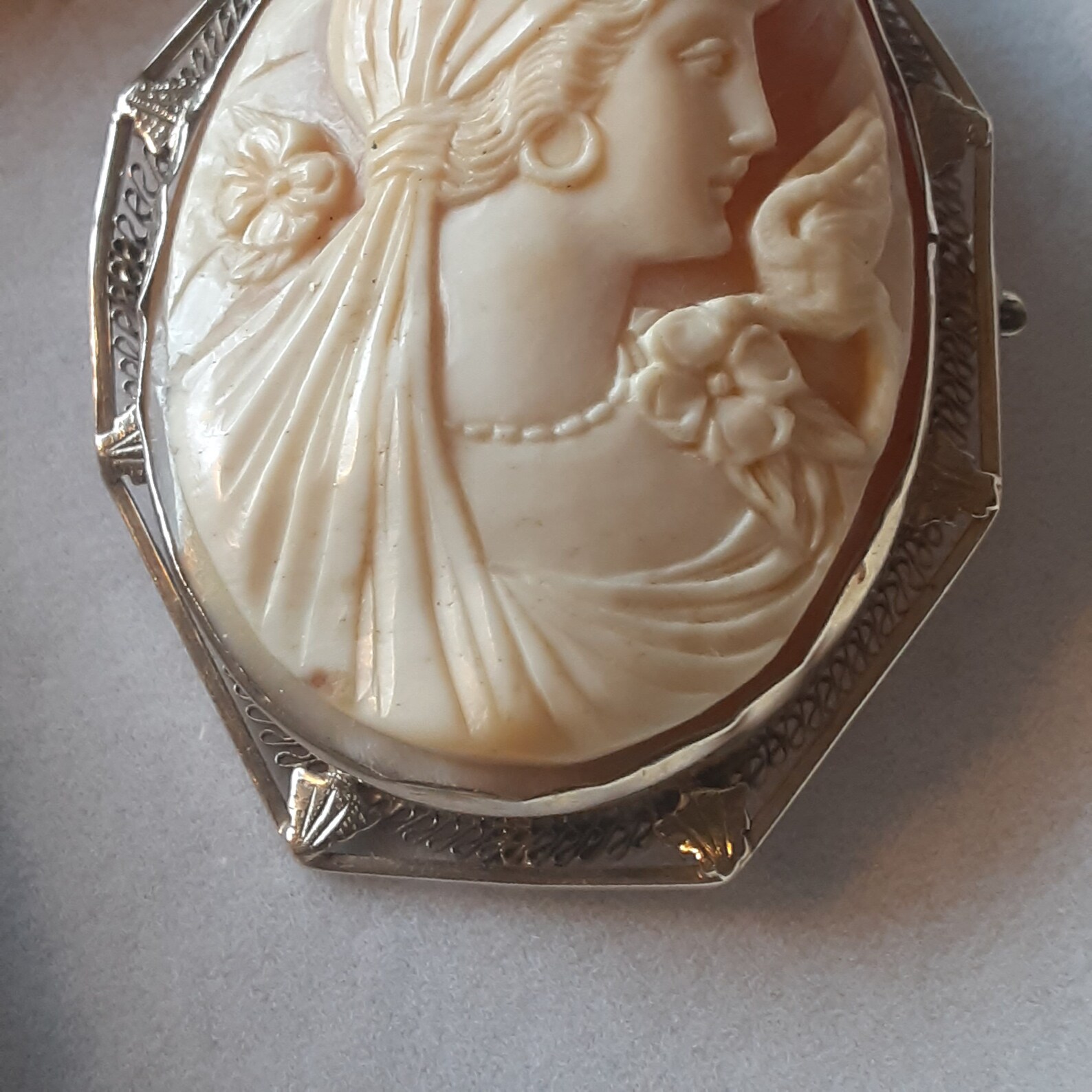 Price Reduced! Antique Shell Cameo With 14 Ct Gold Filagree Setting and ...