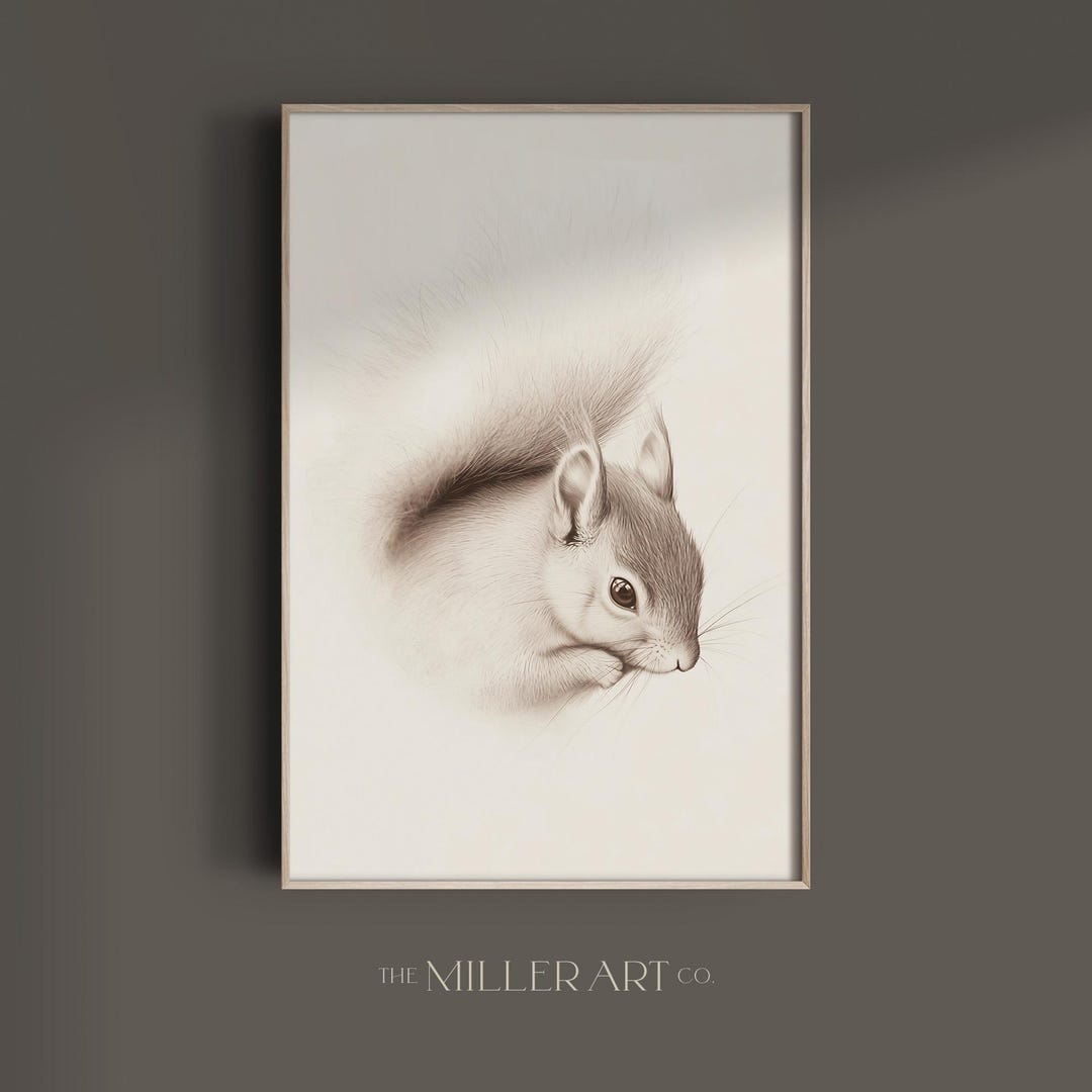Cute Squirrel Drawing - Monochrome Artwork, Fine Line Drawing, Pen ...