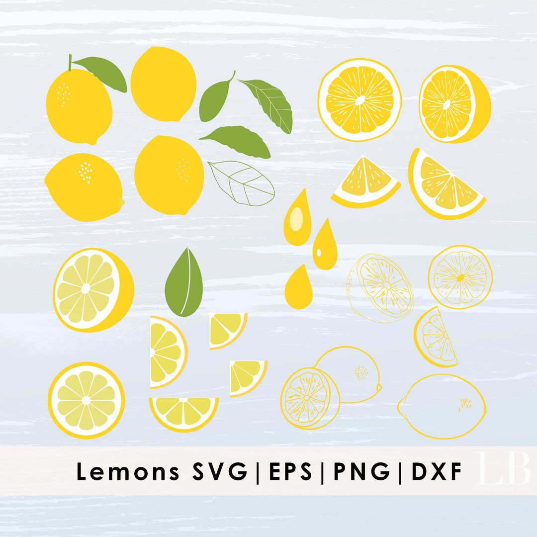 Lemon SVG Bundle, Lemon Fruit PNG, DXF, Citrus Fruit Cut Files, Lemon ...