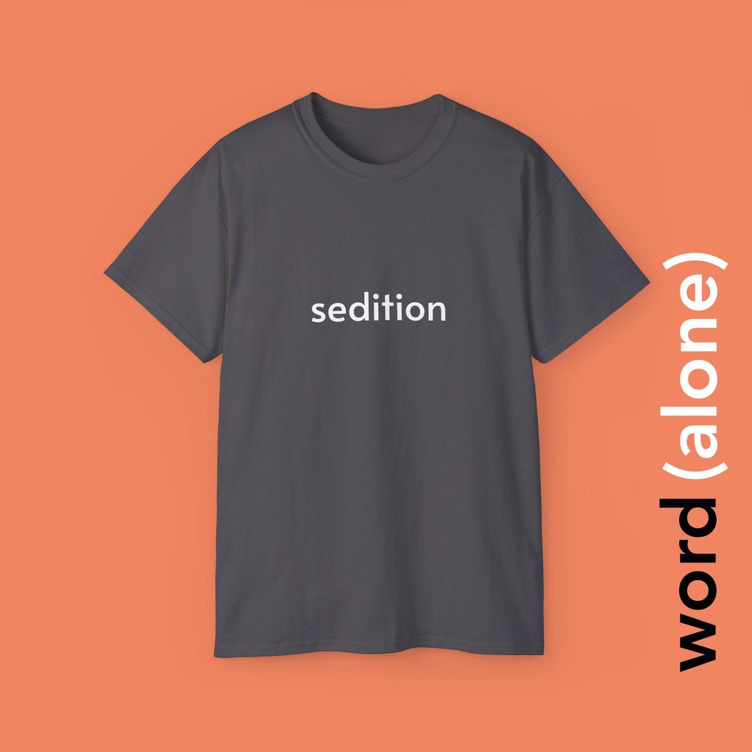 Sedition - Minimalist Single Word T-shirt - Etsy