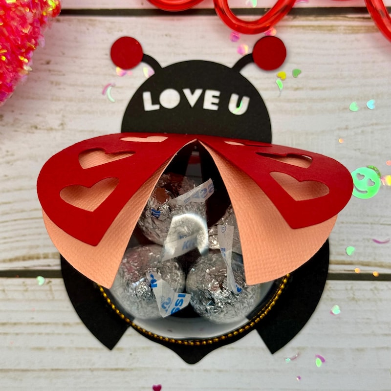 Ladybug Candy - Etsy