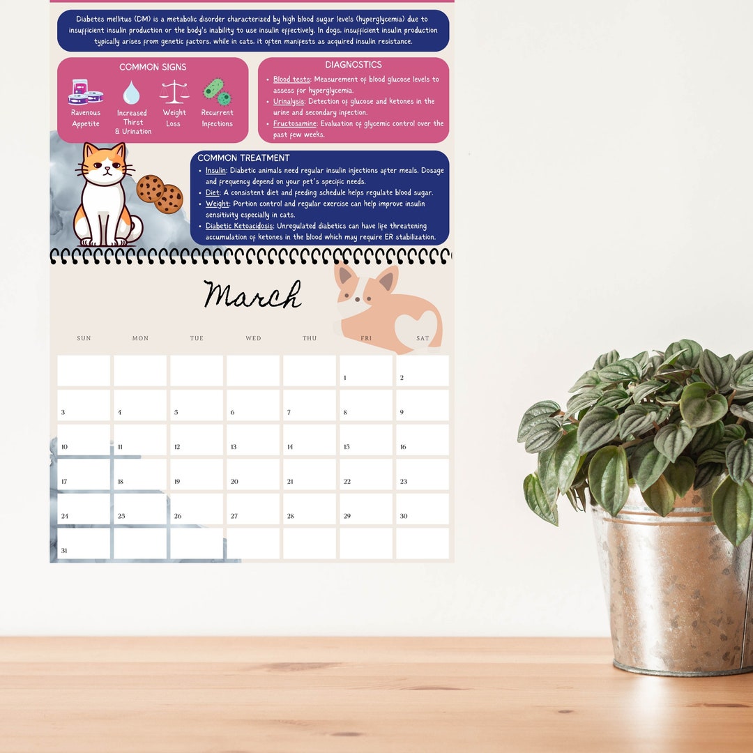 Common Dog & Cat Diseases Calendar 2024 - Etsy