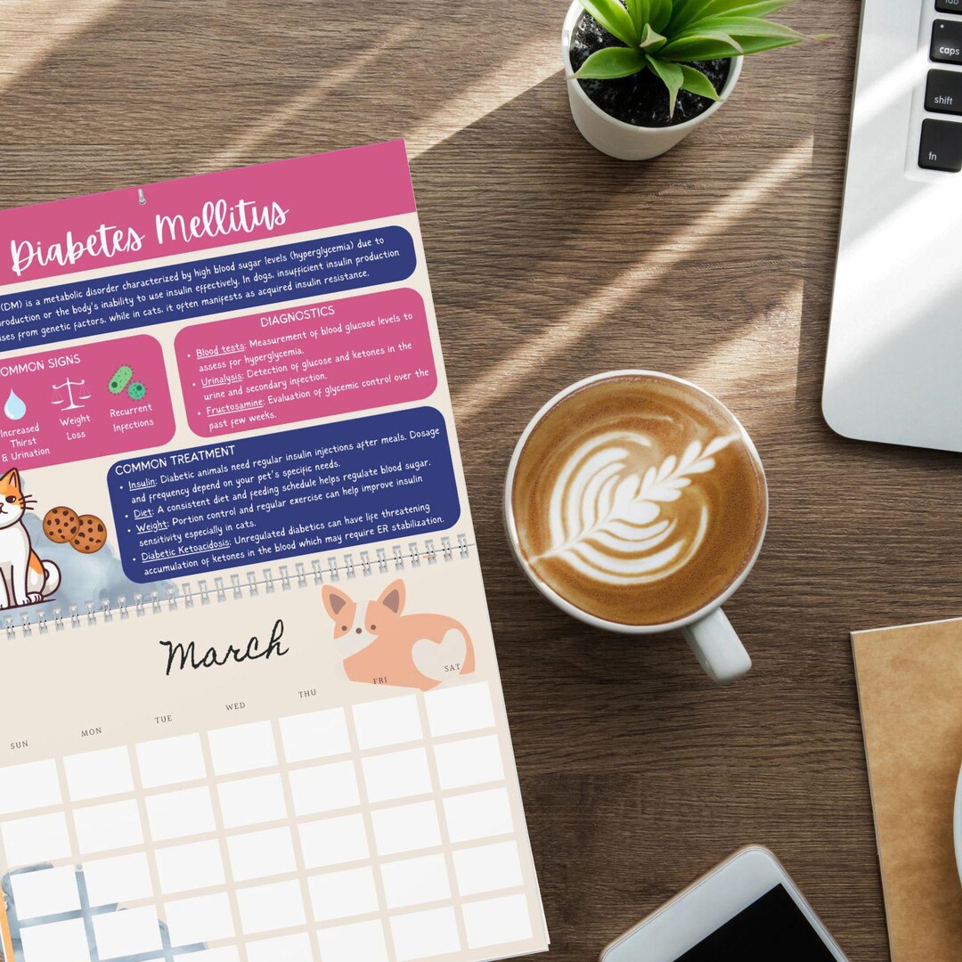 Vet Calendars Common Dog & Cat Diseases Wall Calendar - Etsy