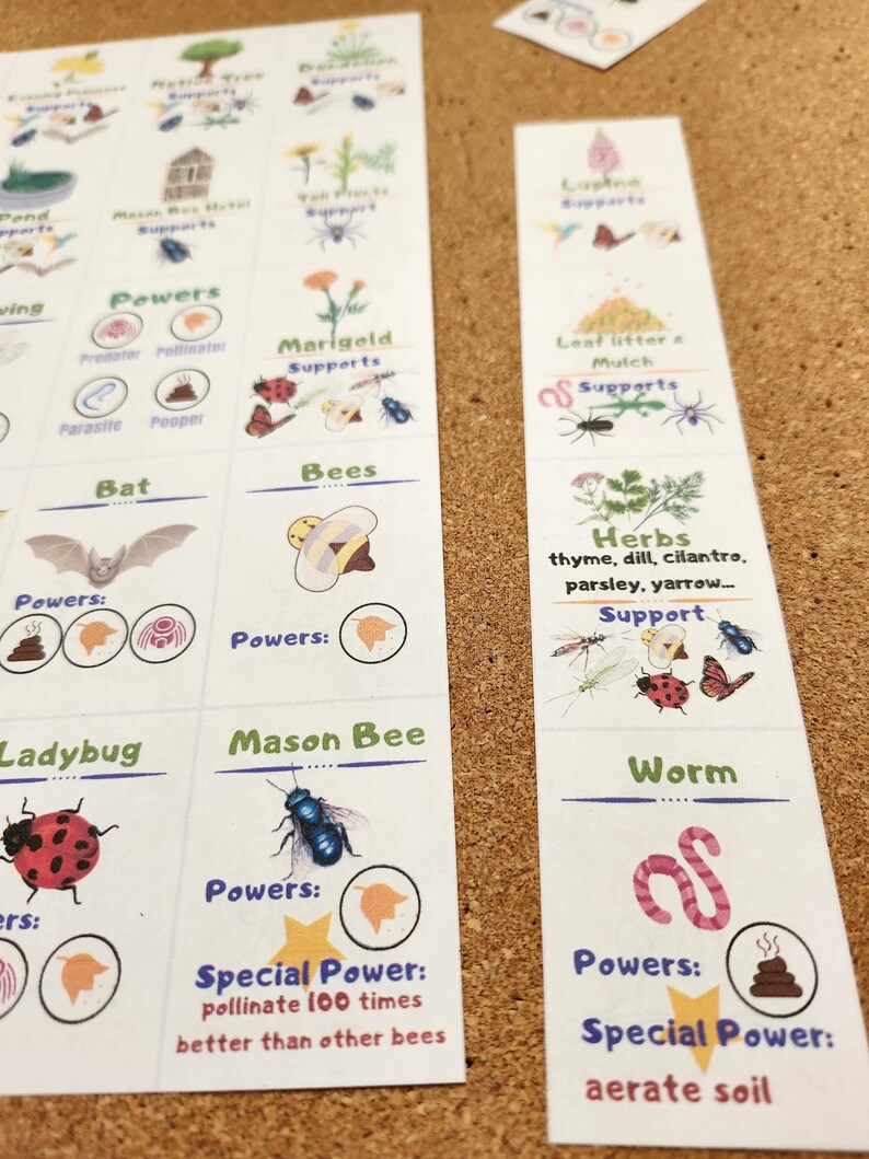 Ecologies Board Game Educational Board Games Earth Board Game - Etsy