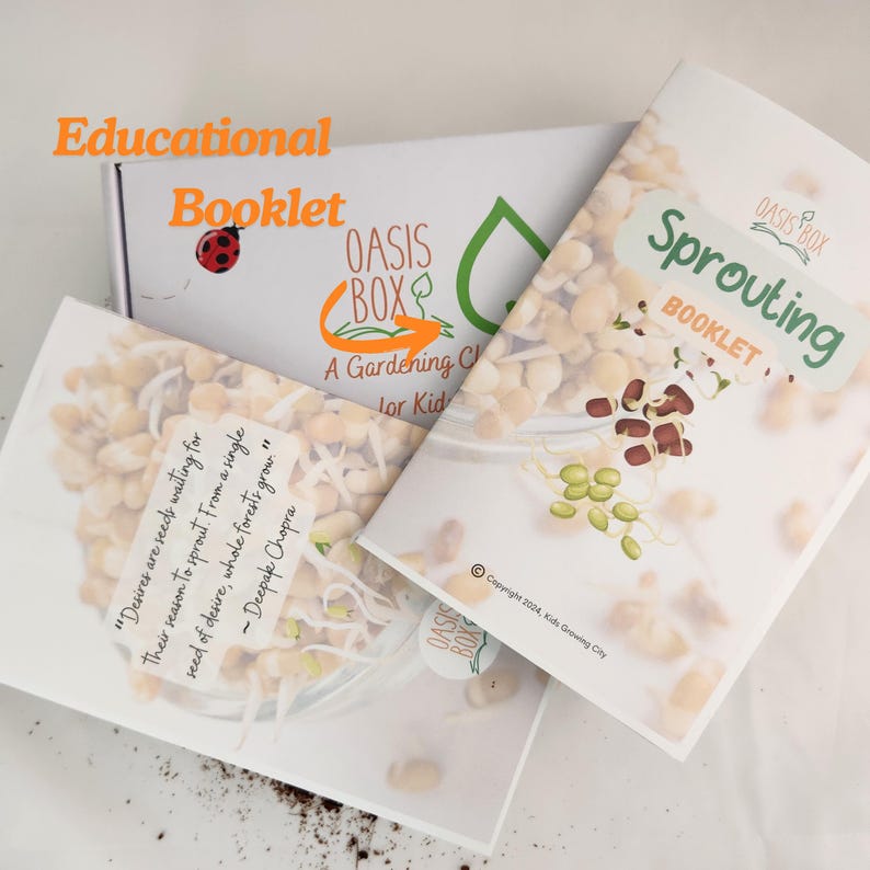 Zero Waste Subscription Box Sprouts Box Kids Sprouting Kit With Organic ...