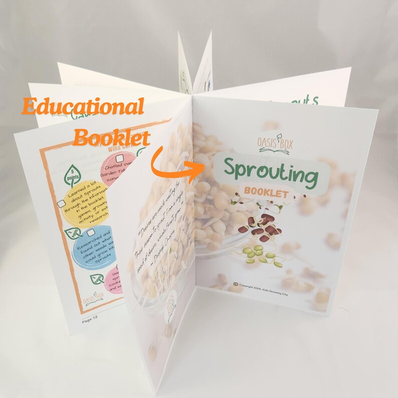 Zero Waste Subscription Box Sprouts Box Kids Sprouting Kit With Organic ...