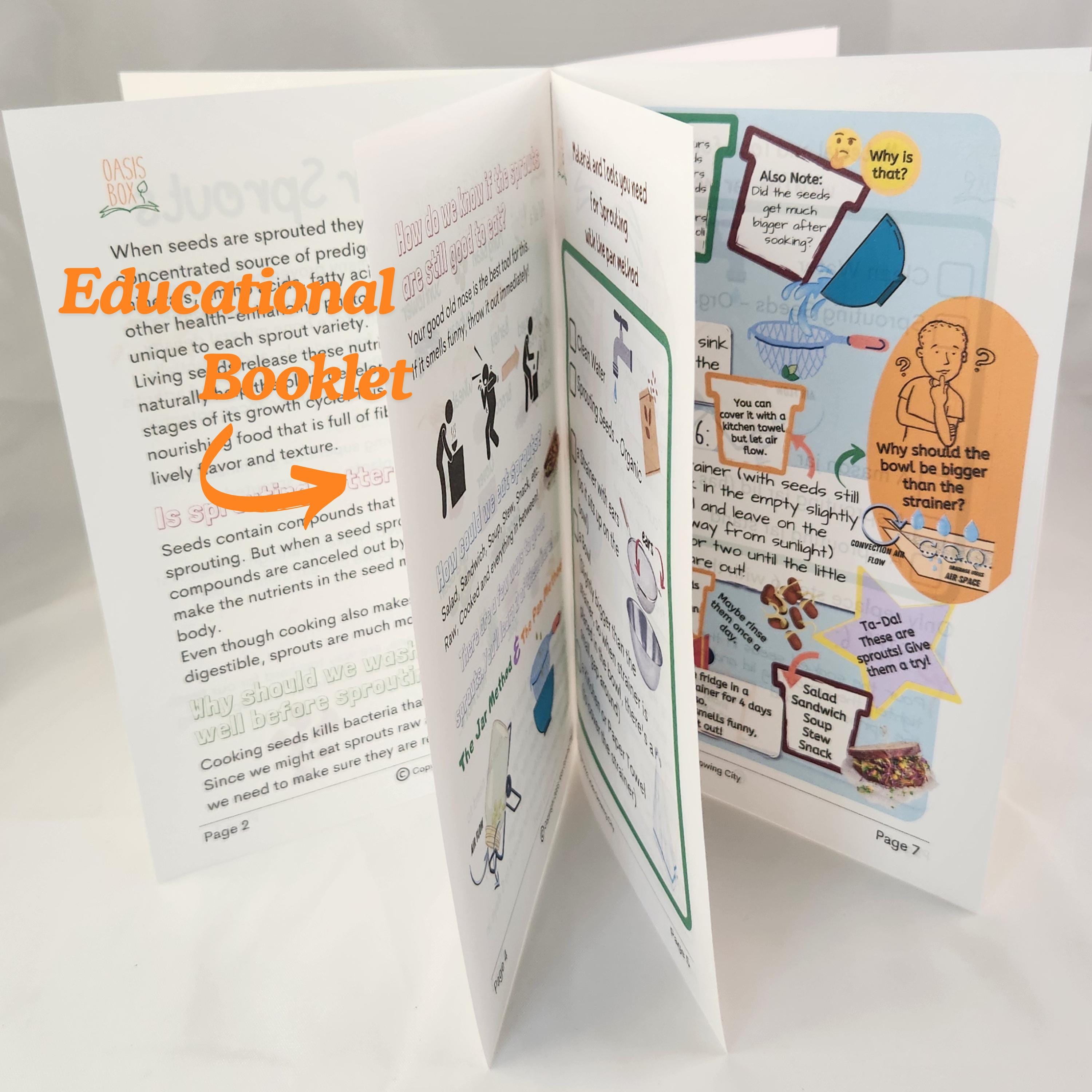 Zero Waste Subscription Box Sprouts Box Kids Sprouting Kit With Organic ...