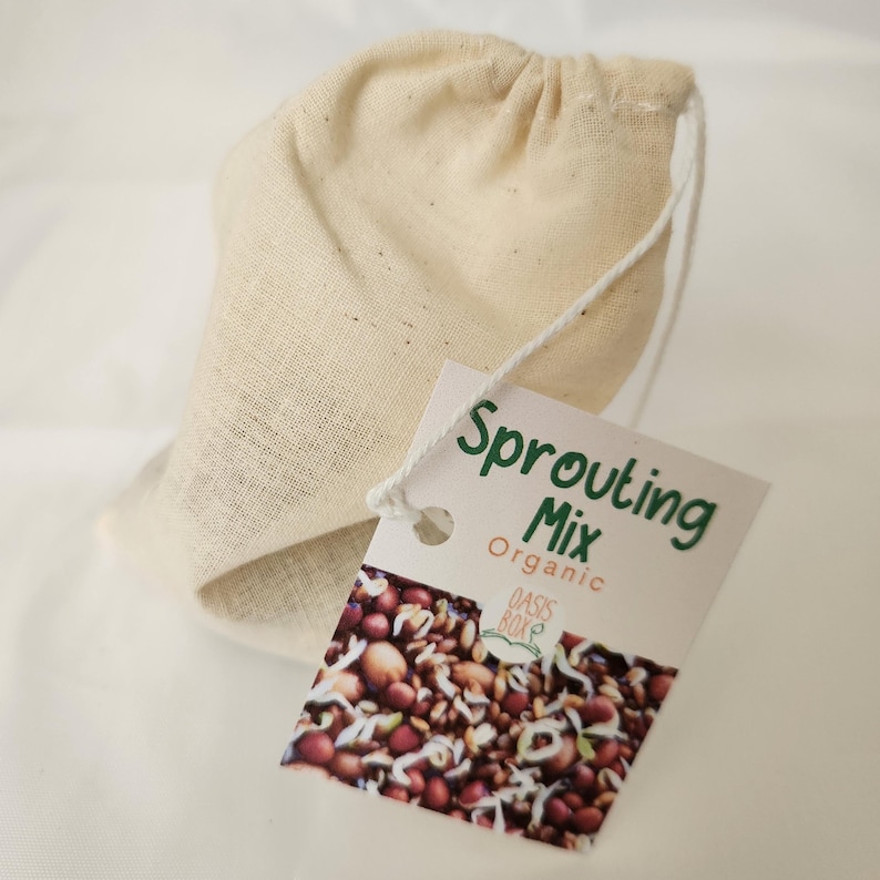 Zero Waste Subscription Box Sprouts Box Kids Sprouting Kit With Organic ...