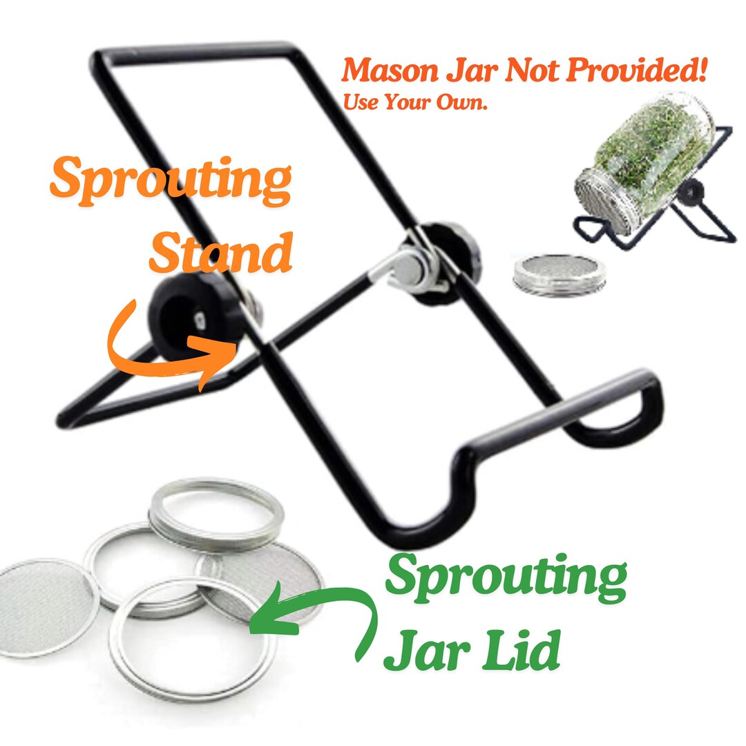 Zero Waste Subscription Box Sprouts Box Kids Sprouting Kit With Organic ...