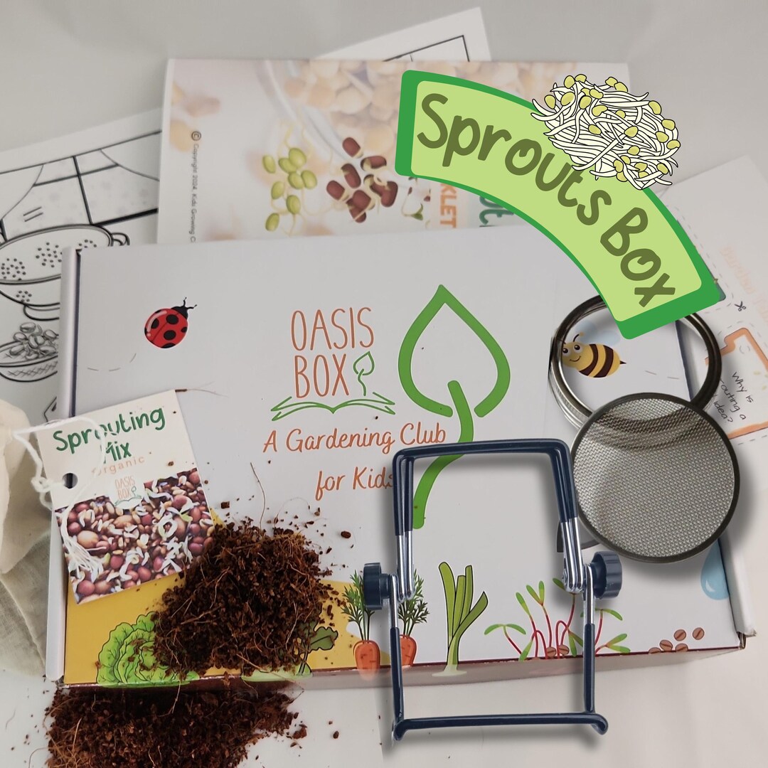 Stem Project Sprouts Box Kids Sprouting Kit With Organic Seeds ...