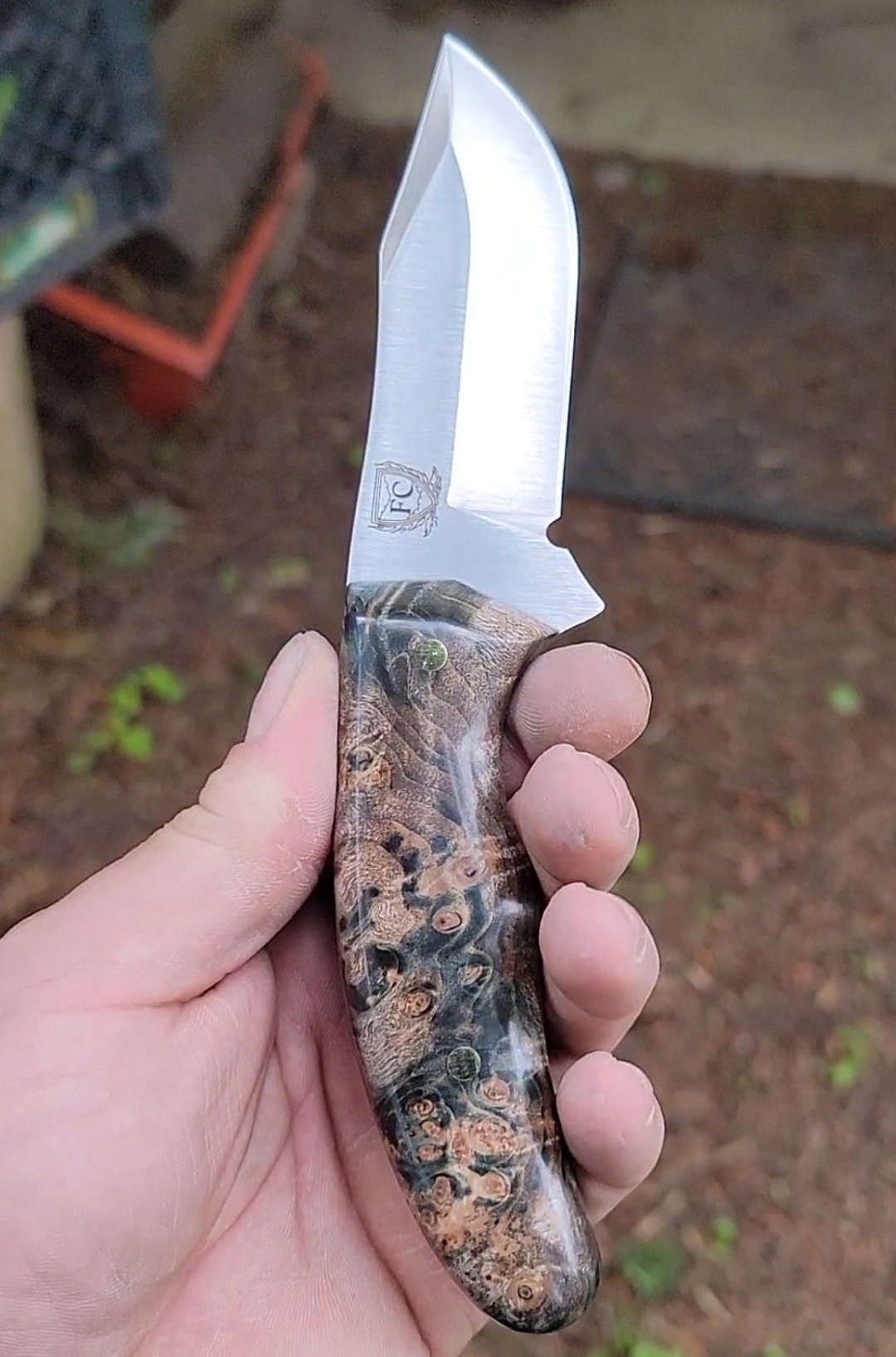 Clip Point Knife With Maple Burl Scales - Etsy