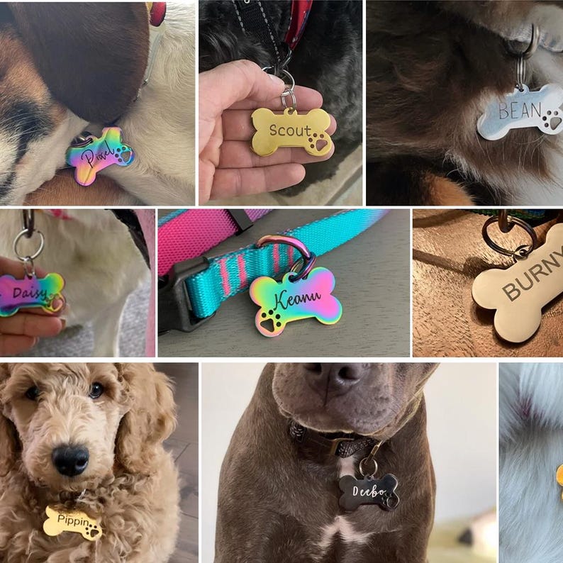 Personalized Bone Dog Tag: Engraved Stainless Steel Pet ID - Etsy