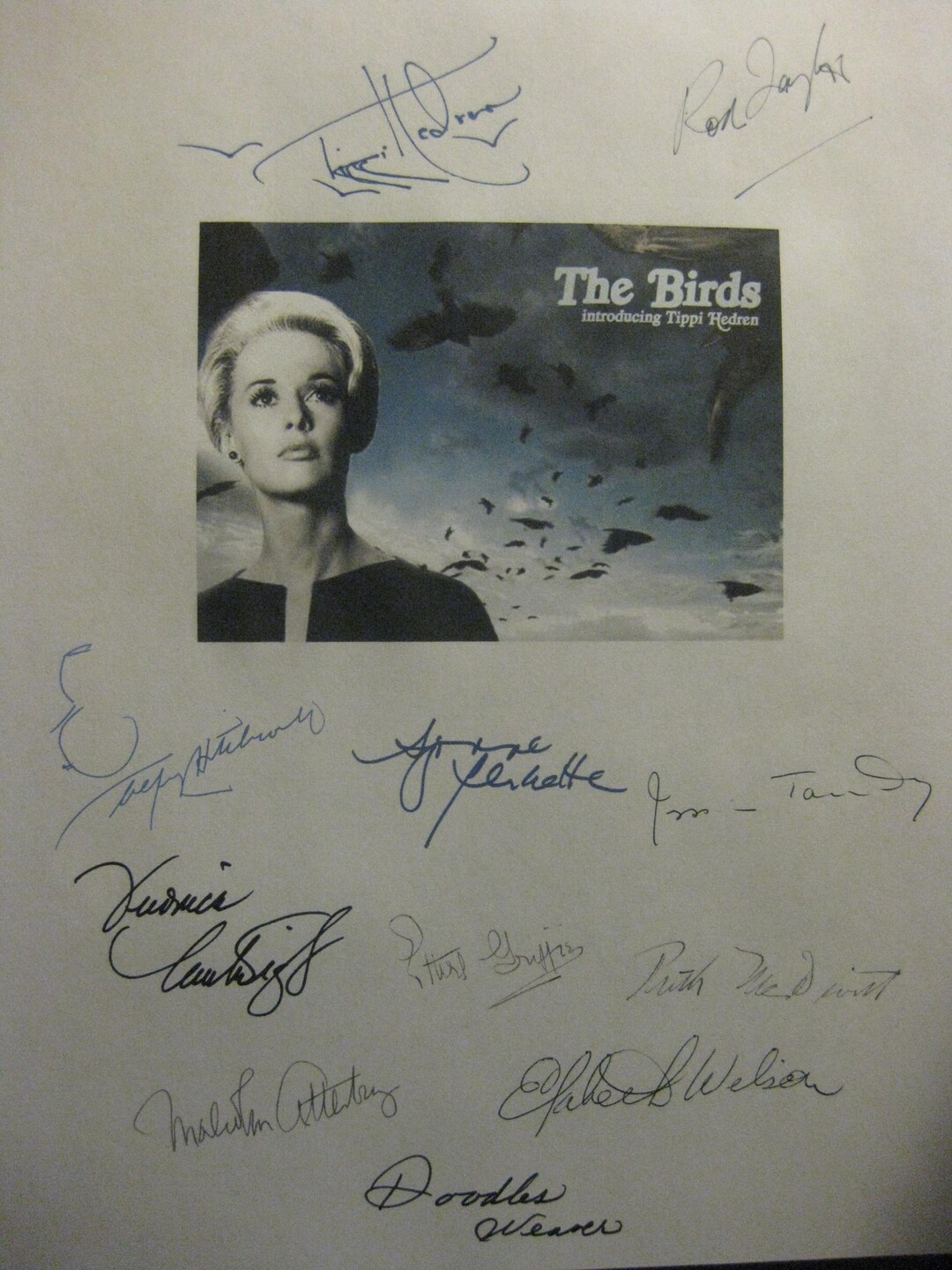 The Birds Signed Film Movie Script Screenplay X11 Autographs Tippi ...