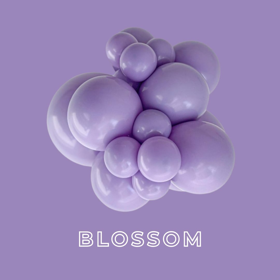 Blossom Balloons - Tuftex Sempertex Kalisan Premium Latex Balloons - 5 ...