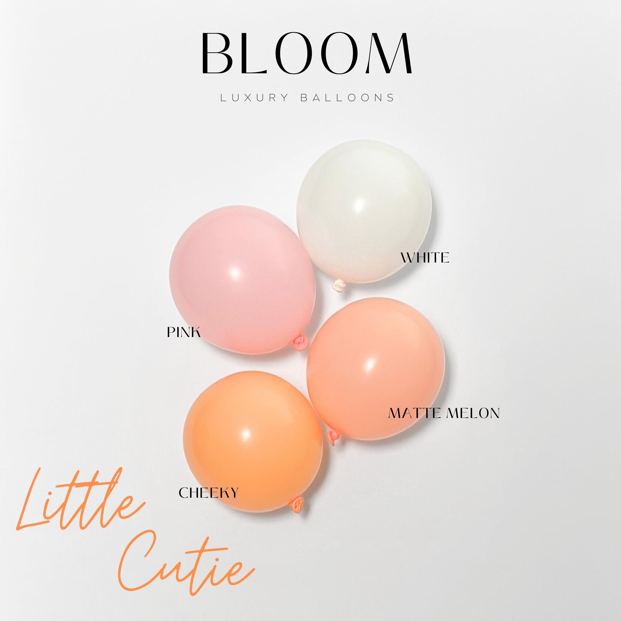 DIY Balloon Garland Kit | Pink, Cheeky, Melon Balloon Arch Birthday ...