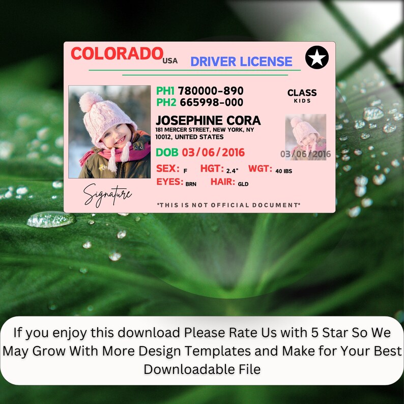 Cute Pooch Kid Novelty Driver License Child Safety Identification Card ...