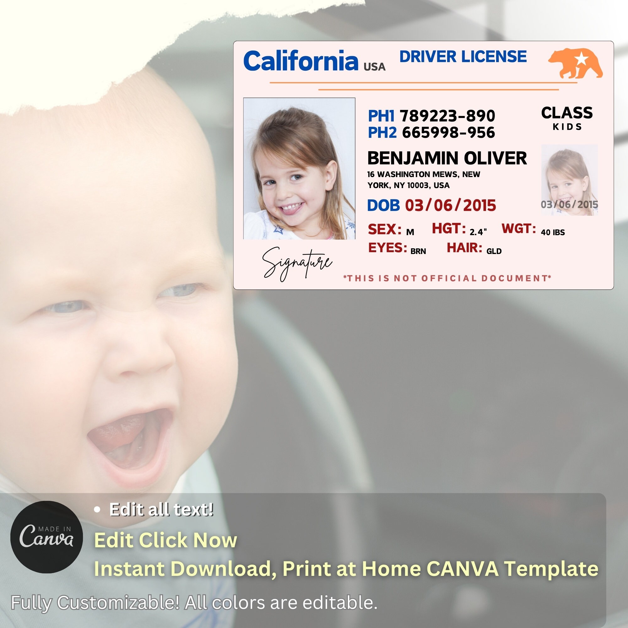 Cute Pooch Kid Novelty Driver License Child Safety Identification Card ...