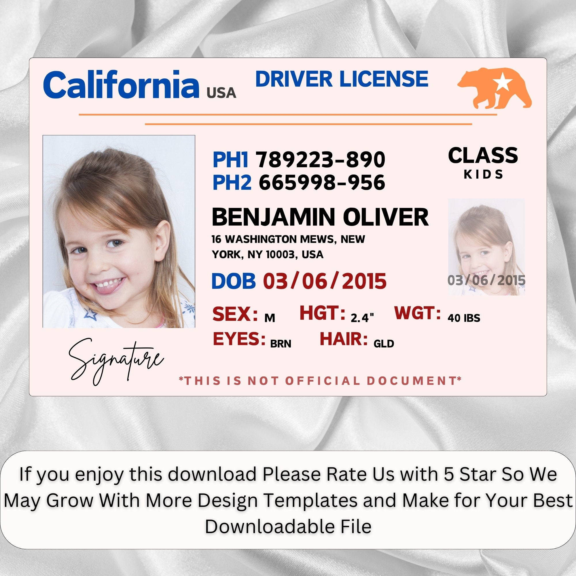 Cute Pooch Kid Novelty Driver License Child Safety Identification Card ...