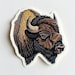 Bison Sticker | Die Cut Sticker | Wildlife | Nature | Animal Sticker - Etsy