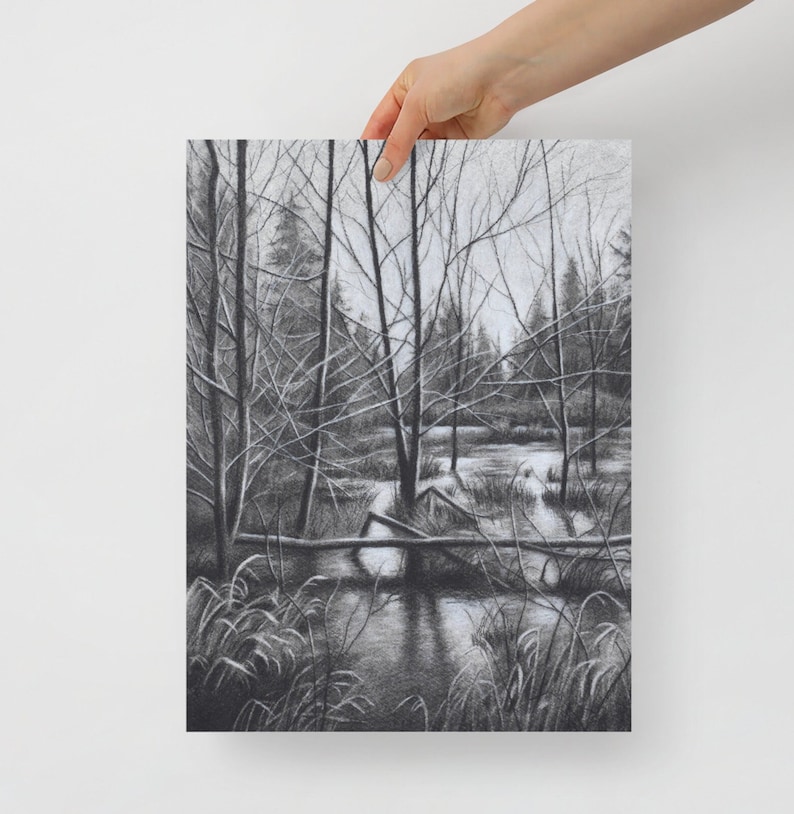Pond Reflections, Charcoal Drawing by Kyla Barnett / Unframed Fine Art ...