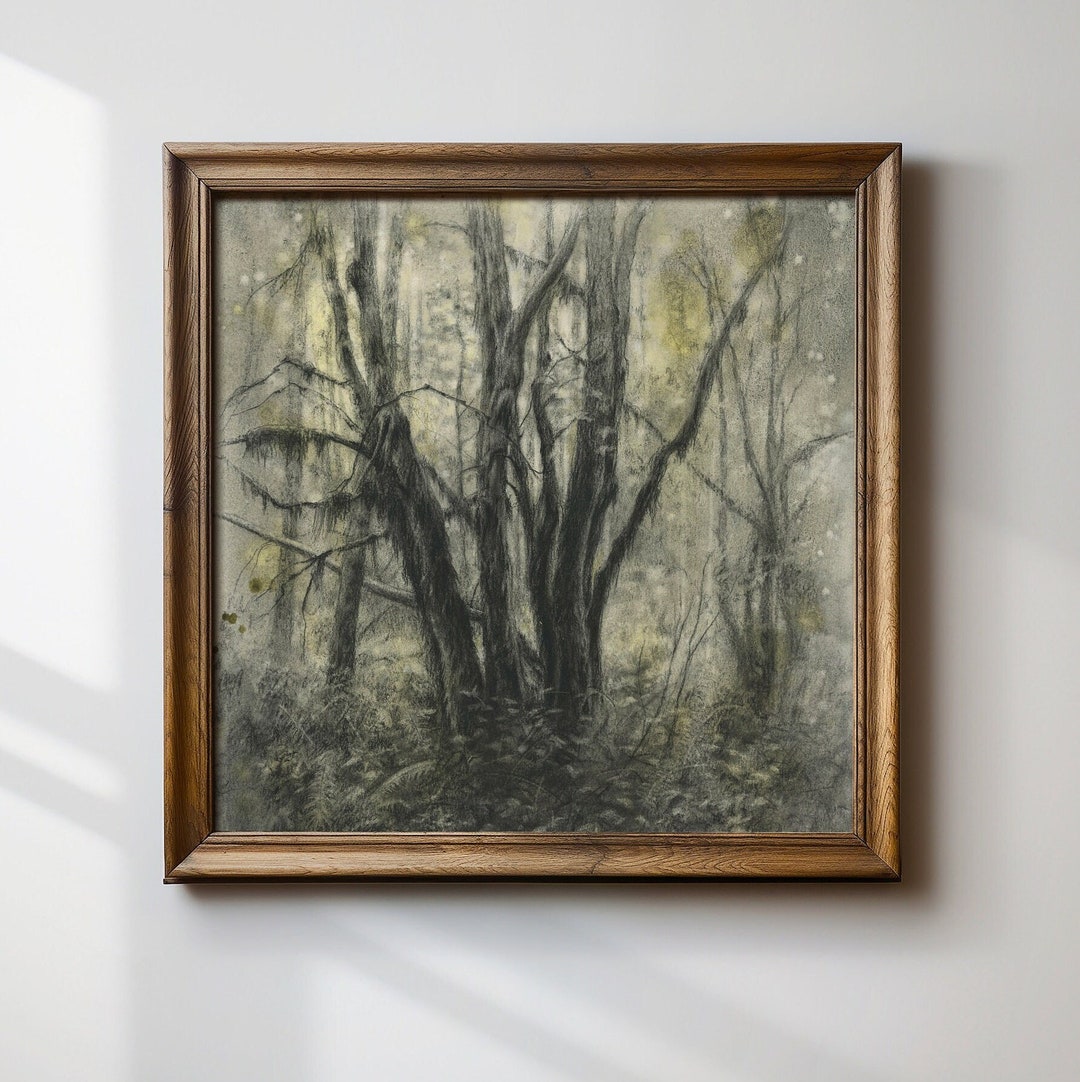 Mossy Forest Glow, Charcoal Drawing by Kyla Barnett / Unframed Fine Art ...