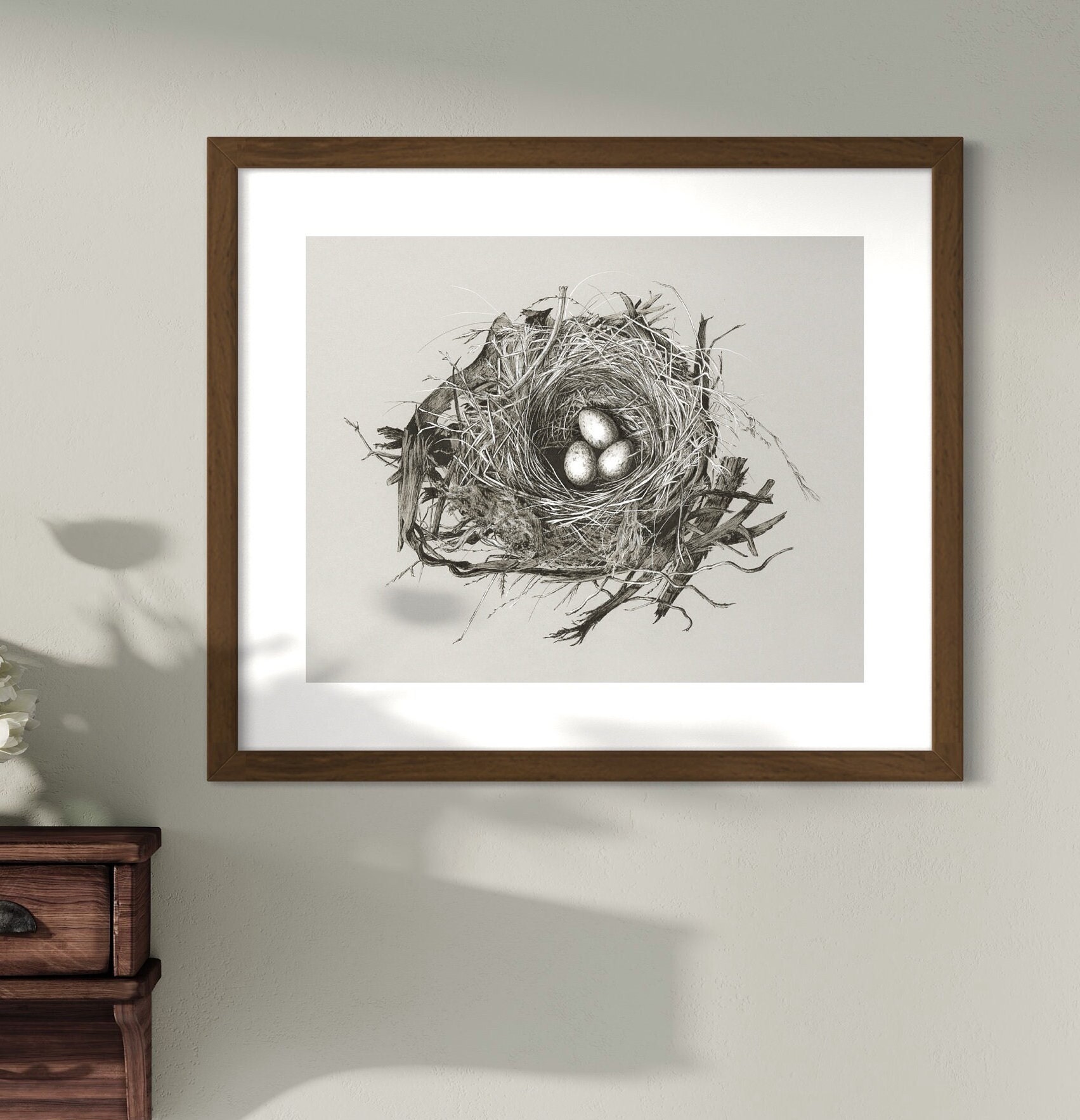Nest With Eggs, Ink Drawing by Kyla Barnett / Unframed Fine Art Print ...