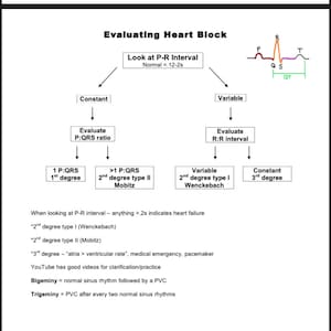 NPTE Study Guide: Cardiopulmonary, Neuro, Musculoskeletal (PDF) - Etsy