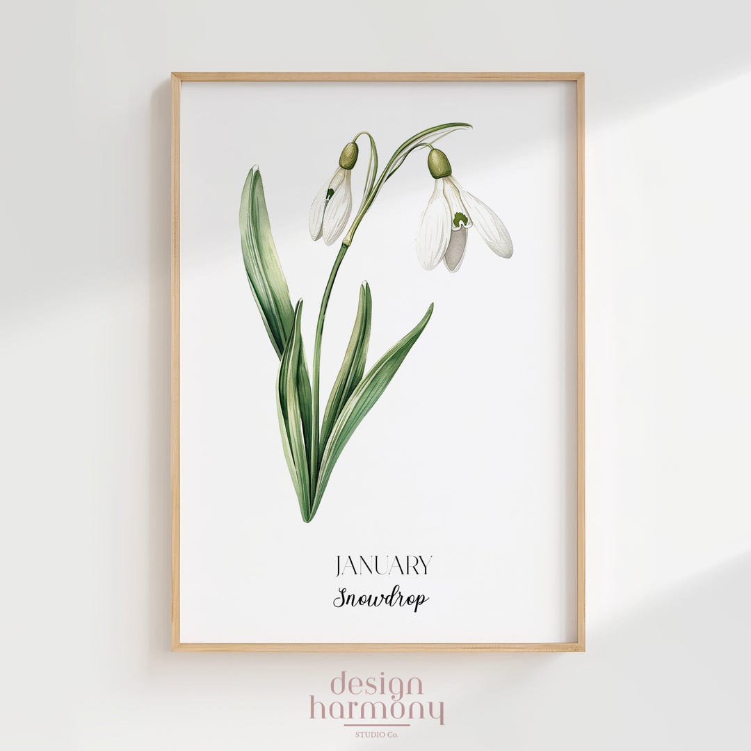 January Snowdrop Birth Flower Art: Minimalist Botanical Print (digital ...