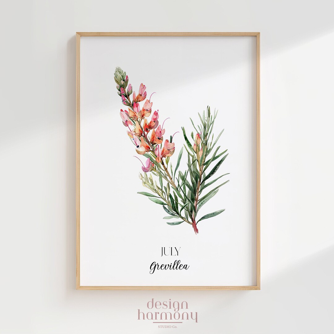 July Grevillea Birth Flower Art: Australian Botanical Print (digital ...