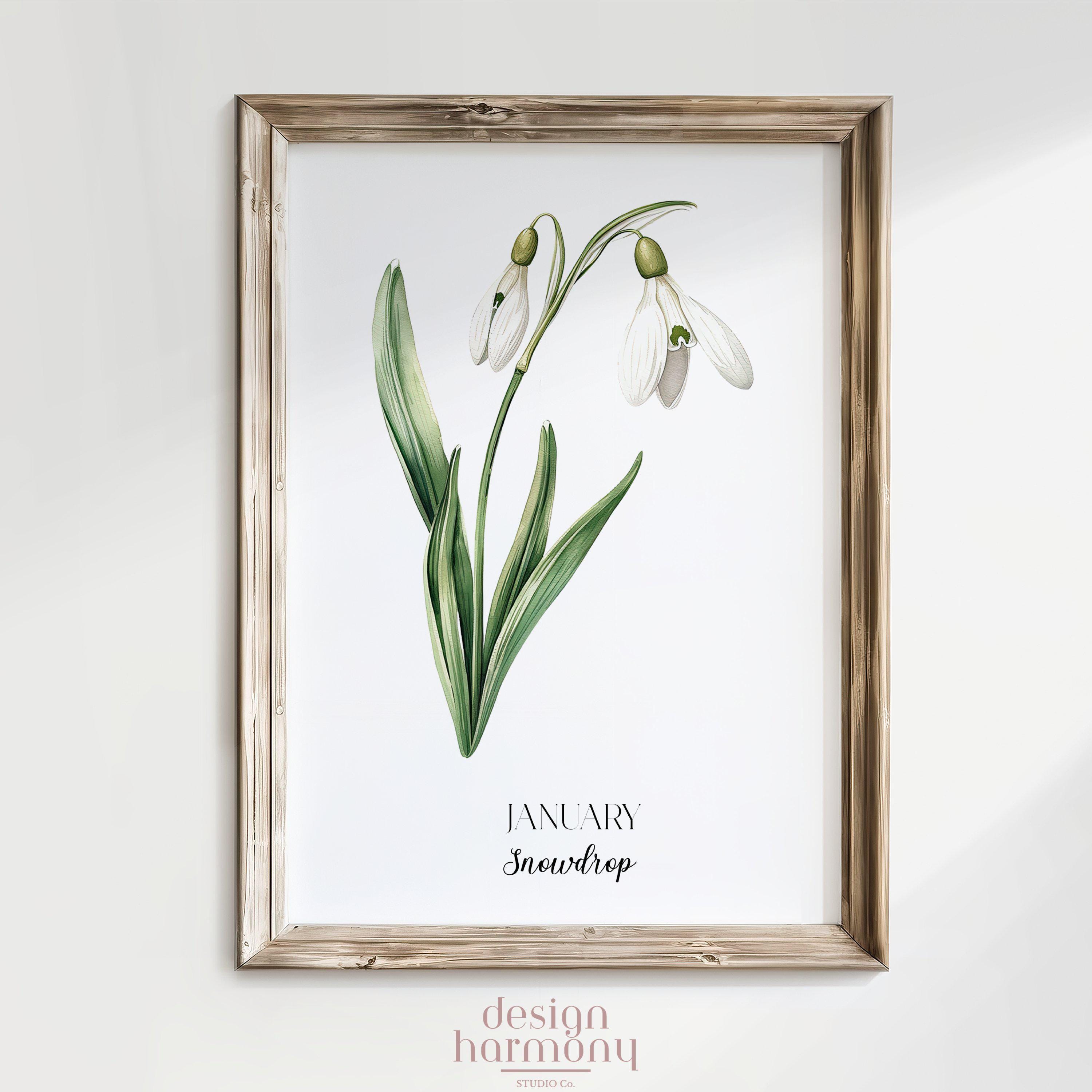 January Snowdrop Birth Flower Art: Minimalist Botanical Print (digital ...