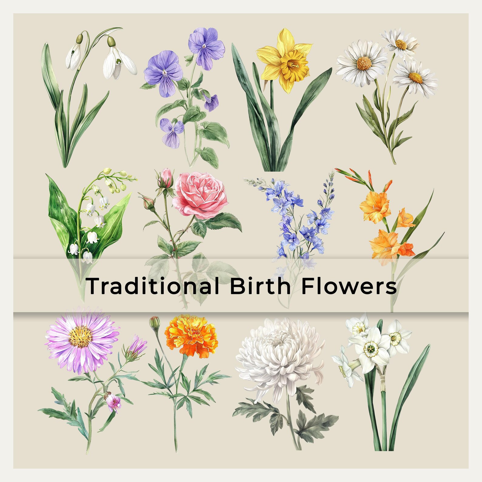 January Snowdrop Birth Flower Art: Minimalist Botanical Print (digital ...
