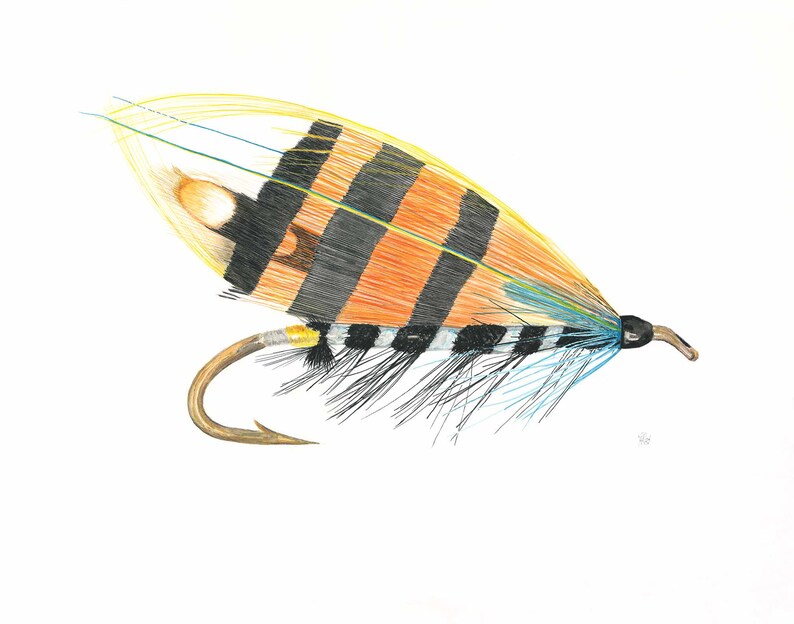 Black Ranger Salmon Fly Fine Art Watercolor Print - Etsy
